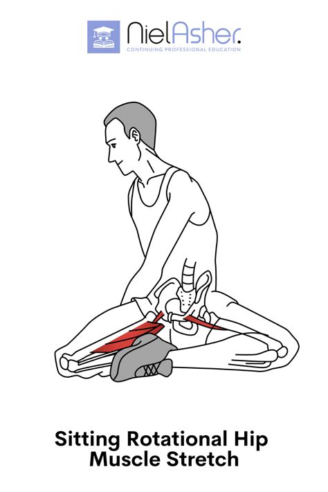 Trigger Point Therapy Treating Pectineus Artofit