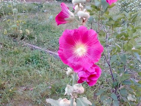 Обзор BQ-4072 Strike Mini. Недорогой смартфон с Android 7.0 - MegaObzor