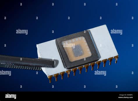 Electronic Chip Isolated On Dark Blue Stock Photo Alamy