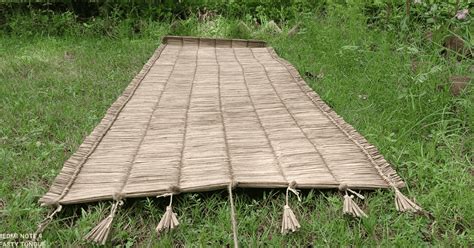 Kusha Grass In English At Elaine Boehme Blog