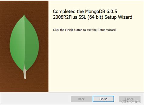 Mongodb下载全流程，详细版mongodb下载安装教程 Csdn博客