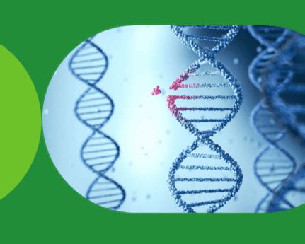 Whole Genome Sequencing Finds Common Cause Of Genomics England