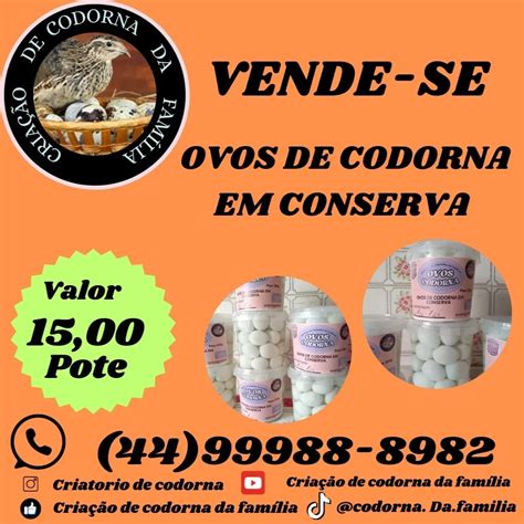 Criatorio De Codorna Criatoriodafamila Codorna • Instagram Photos And Videos