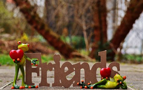 무료 이미지 귀엽다 애정 심장 빨간 밀림 가을 두 로맨스 낭만적 인 함께 시즌 장난 행복 관계 이상한 연인 쌍 연결성 부드러운 인사말