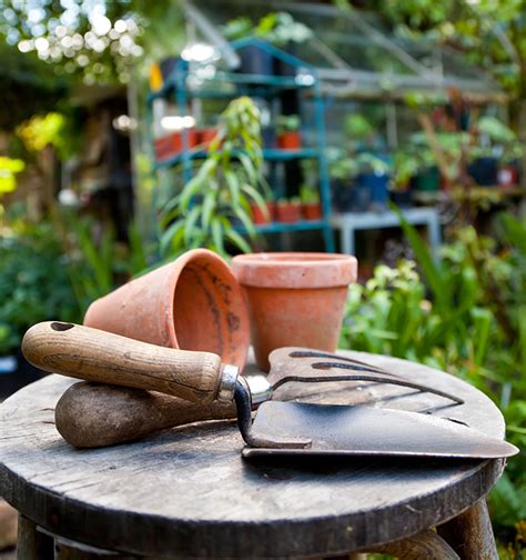 Six Common Garden Problems Solved By Our Experts Country Life