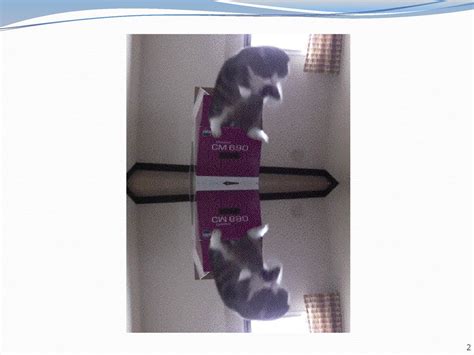 Building Java Programs Ppt Download