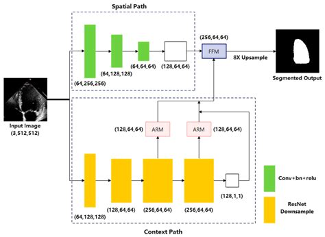 Bi Dcnet Bilateral Network With Dilated Convolutions For Left Ventricle Segmentation