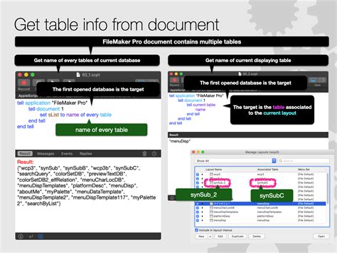 Books On Filemaker Pro 11 Detroitvvti