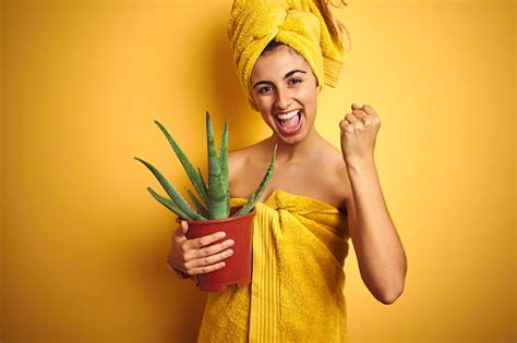 노란 고립 된 배경에 선인장 냄비를 들고 수건을 입고 젊은 아름다운 여성은 자랑스럽게 비명을 지르고 승리와 성공을 축하하는 매우 흥분 응원 감정 가정의 방에 대한 스톡 사진