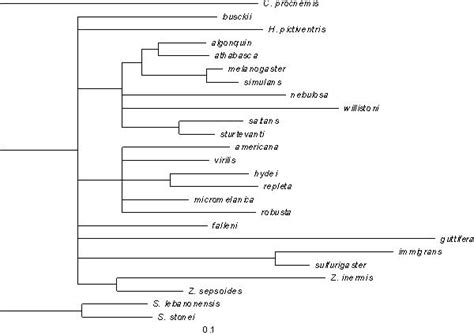 Mapping Of The Species Distance Matrix Onto The Phylogenetic Hypothesis