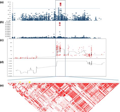 Validation Of Association Mapping Results For Stripe Rust Response On