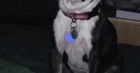 Im So Creeped Out Right Now Imgur