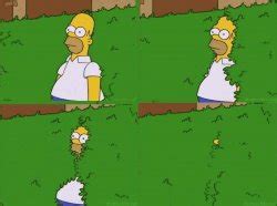 Homer Meme Templates Imgflip