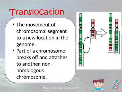 Lecture Presentation On Mutation For Grade 10 Science Pptx