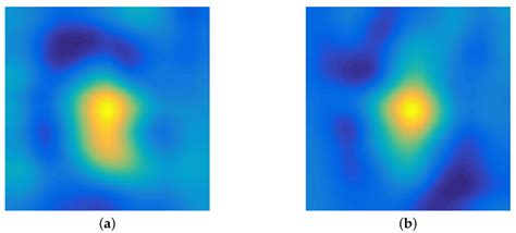 A Group Of The Initial Response Map And The Adjacent Response Map In