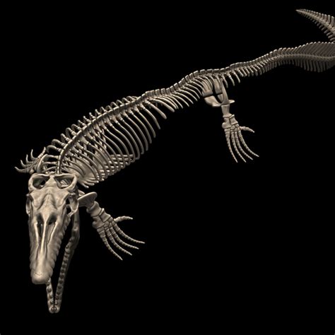 💀 Mosasaurus Skeleton・ 3d File For 3d Printing・cults