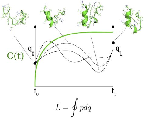 schematic description of a correlation function c t of pathways l of a