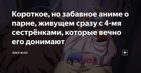 Короткое но забавное аниме о парне живущем сразу с 4 мя сестрёнками которые вечно его