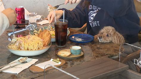 [경제]반려견과 함께 식사를 유통업계 마케팅 활발 Ytn