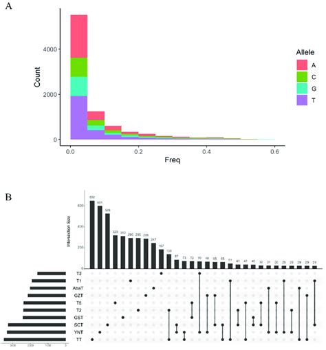 Distribution Of Deleterious Variants The Frequency Spectrum Of