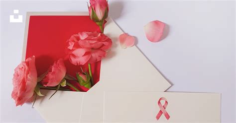 분홍색 장미 꽃과 우편물 용지 사진 Unsplash의 무료 꽃 이미지