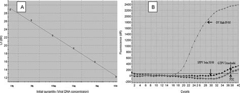 A Taqman Probe Based Rt Pcr Showing The Standard Curve With An Download Scientific Diagram