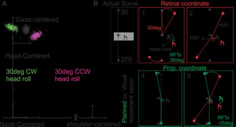 RFT Processes Mechanism A Different Coordinates In Our RFT Module Download Scientific