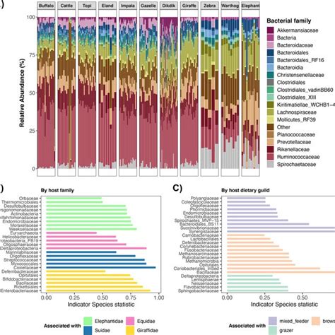 Gut Microbiota Composition Of African Herbivores A Stacked Bar Plots Download Scientific