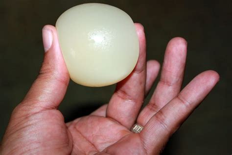 Create A Naked Egg With Science Brian Williams Science