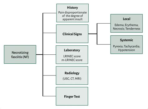 Clinical Features And Evaluation Of Necrotizing Fasciitis Download