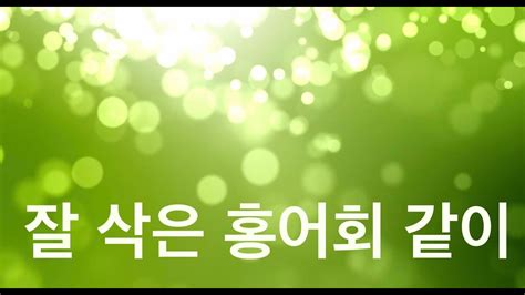 잘 삭은 홍어회 같이 새벽이슬채플 박요단 목사 Youtube