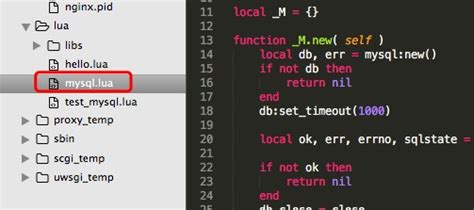 openresty程序开发Nginx Lua