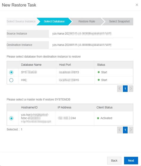 Restore Databases To An Sap Hana Instance Cloud Backup Alibaba