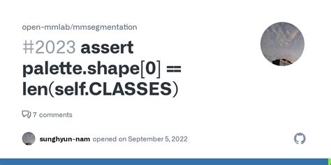 Assert Paletteshape 0 Lenselfclasses · Issue 2023 · Open Mmlab