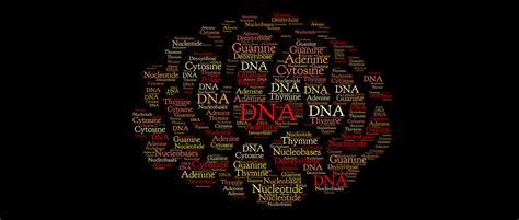 Starting Off In Bioinformatics — Dna Nucleotides And Strands By