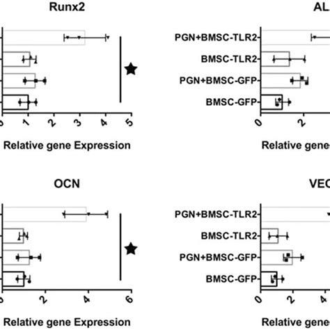 Real Time Rt Pcr Analysis The Expression Of Runx2 Alp Ocn And Vegf Download Scientific
