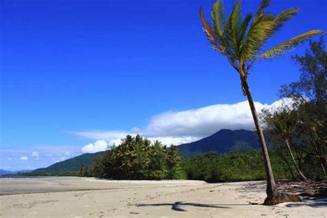 Cape Tribulation Beach Cape Tribulation Alle Tips Reviews En Reizen