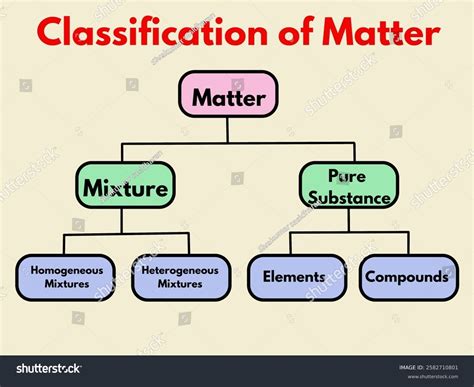 Classification Matter Flowchart Diagram Chemistry Science Stock Vector