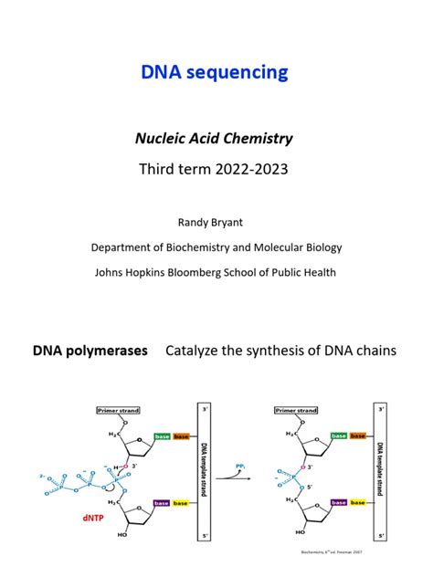 Lecture 3 2023 Dna Sequencing Pdf Sequencing Primer