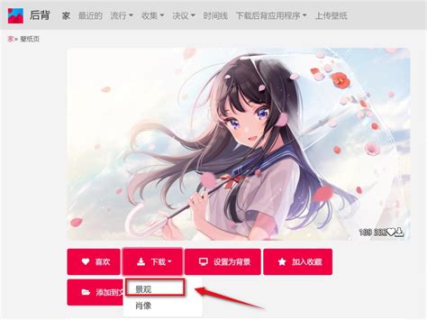Backiee 8k壁纸（电脑端）backiee官网 Csdn博客