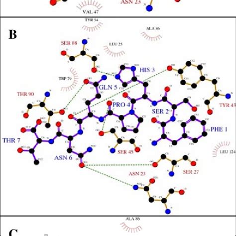 Ligplot Analysis [25] Showing The Hydrogen Bonding And Hydrophobic Download Scientific Diagram