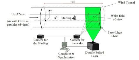 Illustrative Scheme Of The Experimental Setup System Download Scientific Diagram