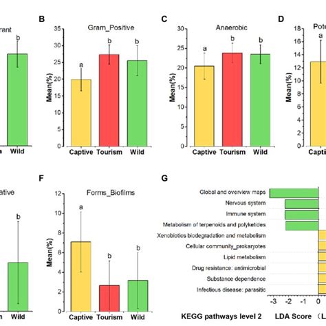 Variation In Phenotypic Properties And Kegg Pathways Of Gut Microbiome