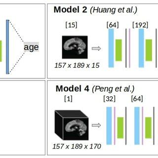 Architecture Of The Four Reimplemented CNN Models For Brain Age Prediction Download