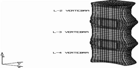 Load Sharing Within A Human Lumbar Vertebral Body Using The Spine
