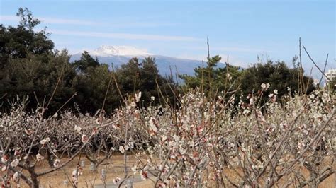 서귀포칠십리시공원 제주도 서귀포시 가볼만한곳