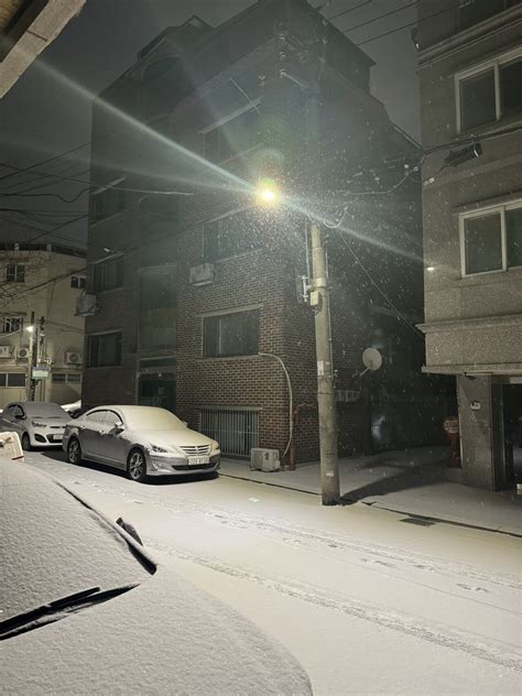 실시간 서울 화이트 크리스마스 유머 움짤 이슈 에펨코리아