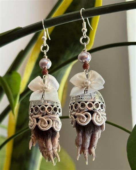 💅 Show Off A Cute Set Of Oddities And Curiosities Expo Facebook