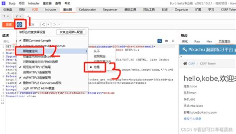 Pikachu CSRF 通关解析 阿里云开发者社区