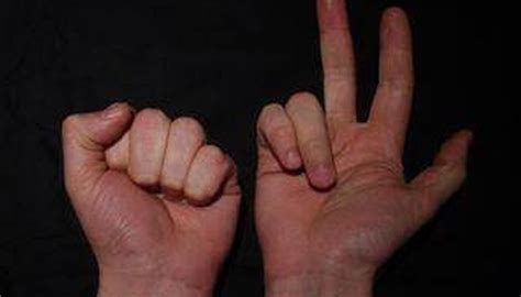 what is double counting in economics bizfluent